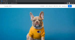 為何 Google 搜尋不到我的網站？手把手教你 1 招輕鬆解決！ – Teachify 部落格